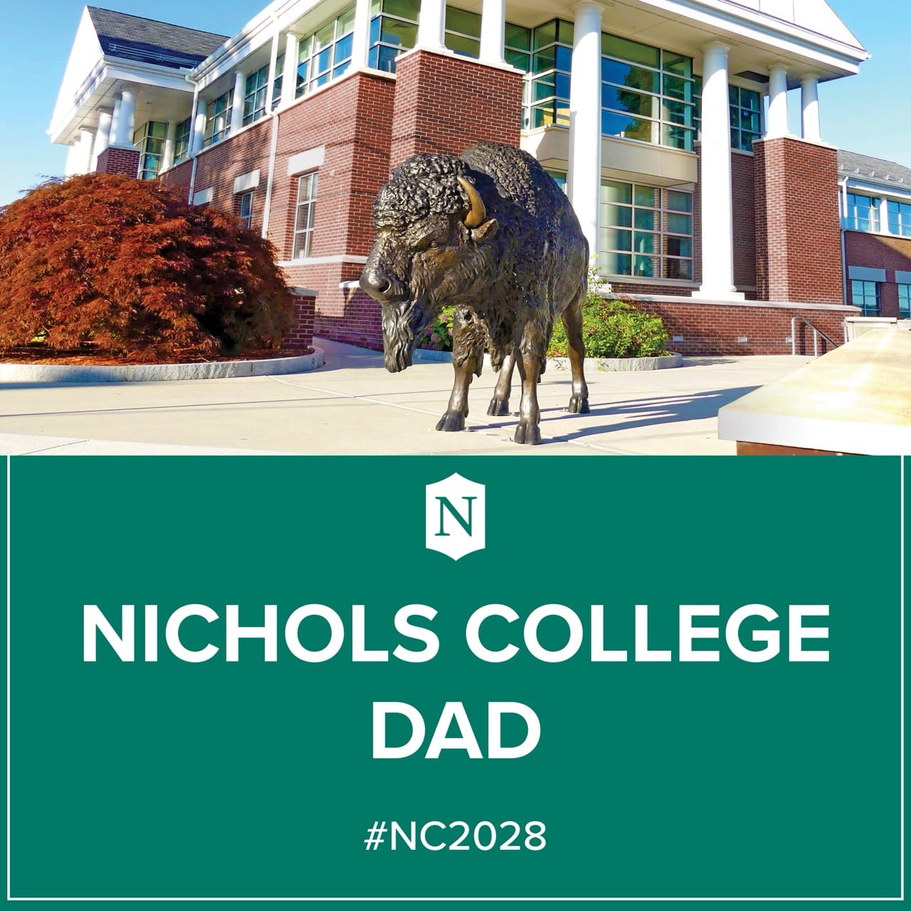 Digital Swag - Nichols College